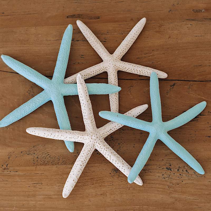 4 large Finger Starfish natural or dyed in your favourite colour(s ...